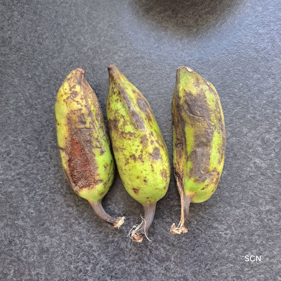 Raw Plantain Banana Baji (Vazhakkai Baji) - Sumi´s culinary notes